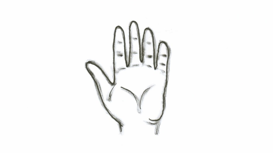 Phantom Finger Points To Secrets In The Human Brain : Krulwich Wonders ...