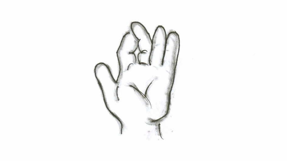 Phantom Finger Points To Secrets In The Human Brain : Krulwich Wonders ...