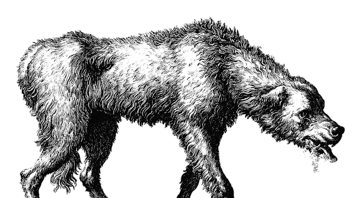 Terrible Virus, Fascinating History In 'Rabid' : NPR