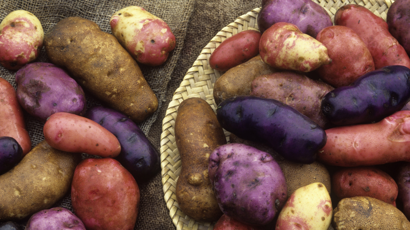 Extreme Makeover, Potato Edition : The Salt : NPR