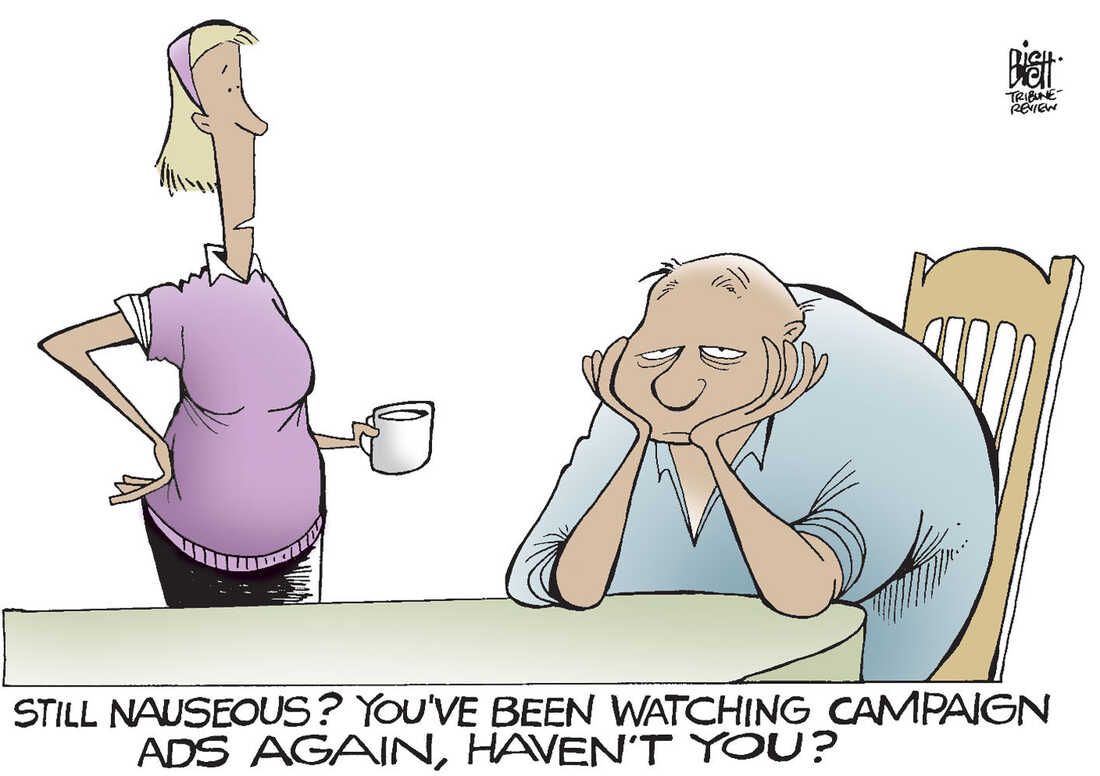 Double Take 'Toons: Misinformation Campaign : NPR