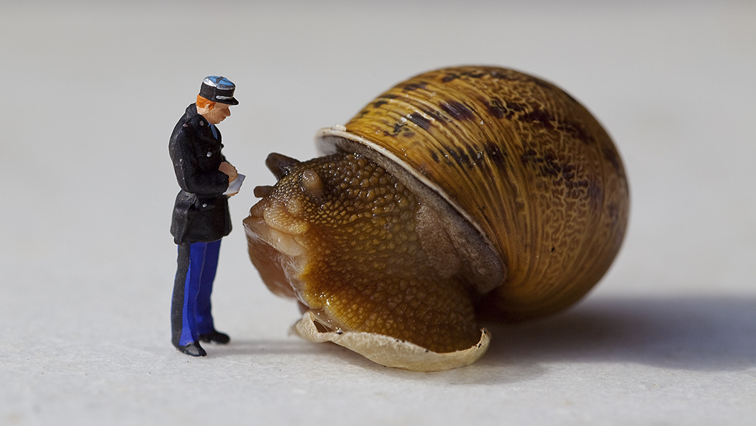 Odd Hobby: Little People Pictures (What's Your Pet Project?) : The ...