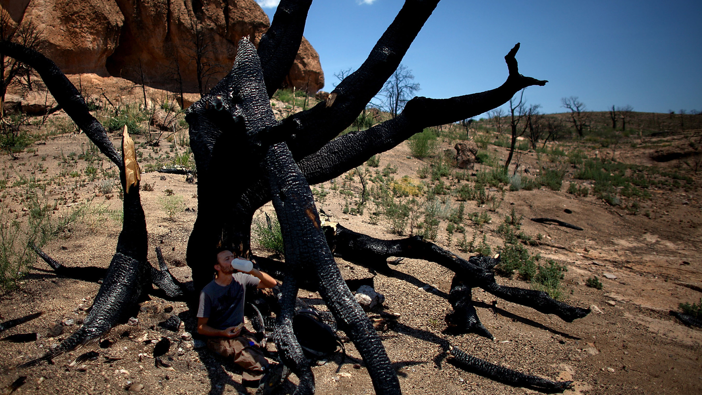 Why Forest-Killing Megafires Are The New Normal : NPR