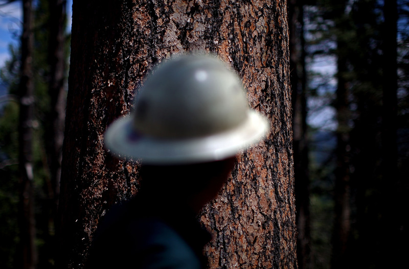 Is It Too Late To Defuse The Danger Of Megafires? : NPR