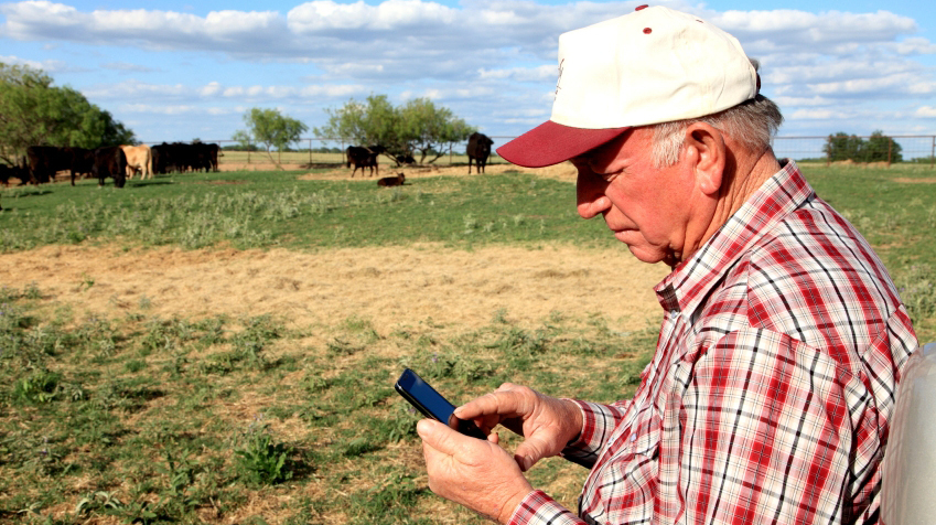 Farmers Waiting Out The Drought Tune Into Twitter : The Salt : NPR