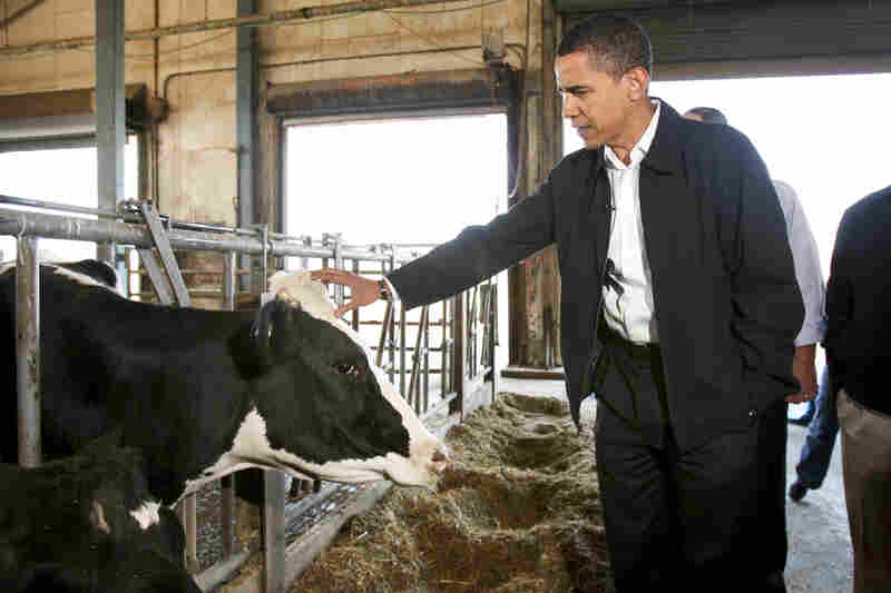 Political Animals On The Campaign Trail : The Picture Show : NPR