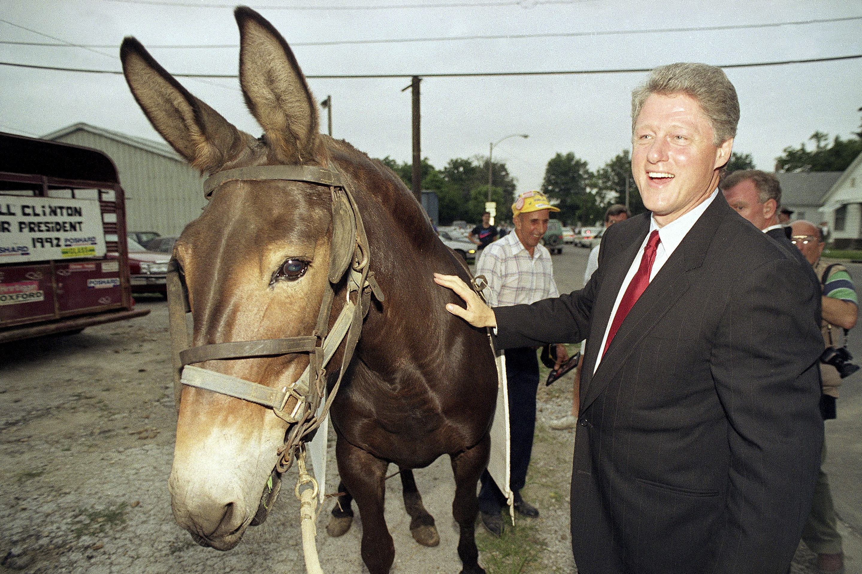 Political Animals On The Campaign Trail | NCPR News