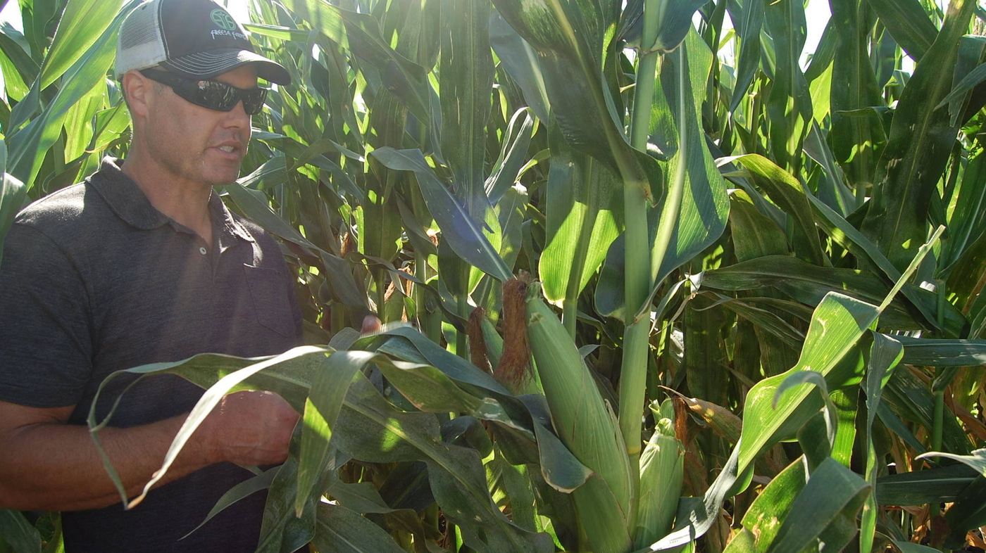 Two Sides Prepare For Vote On Genetically Modified Labeling In Calif ...