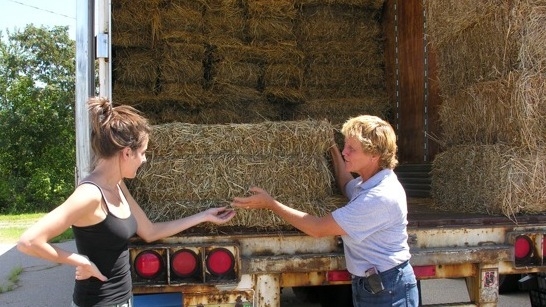 Hay Is For Horses In Tryon, N.C. : Participation Nation : NPR