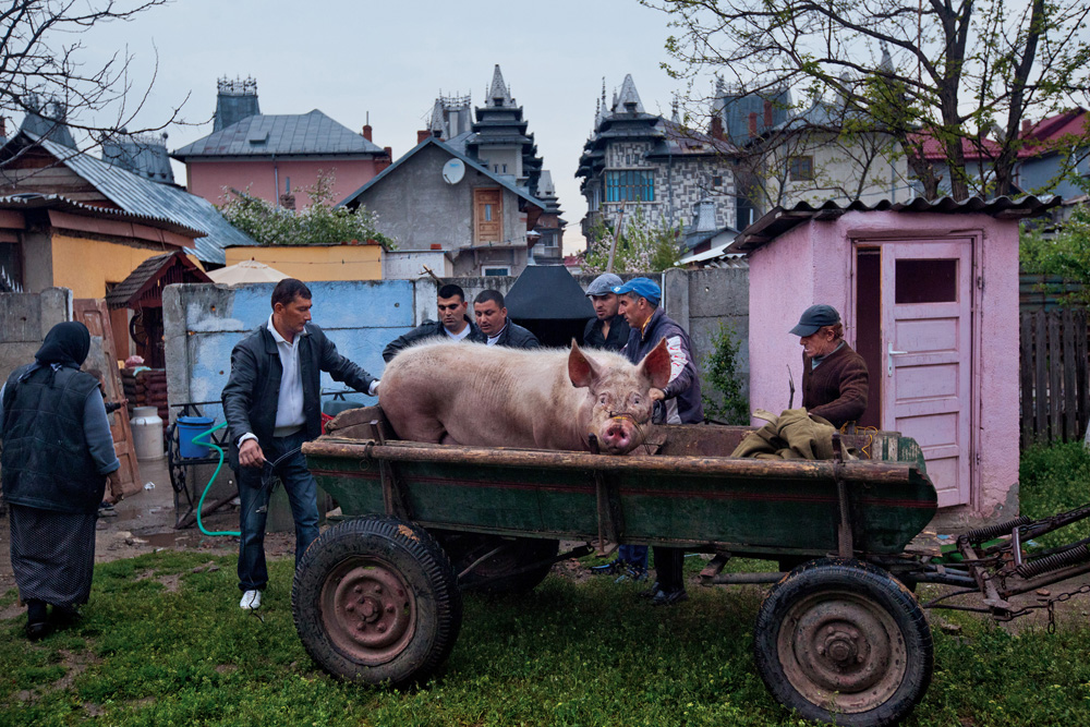 Rich Romanian Gypsies