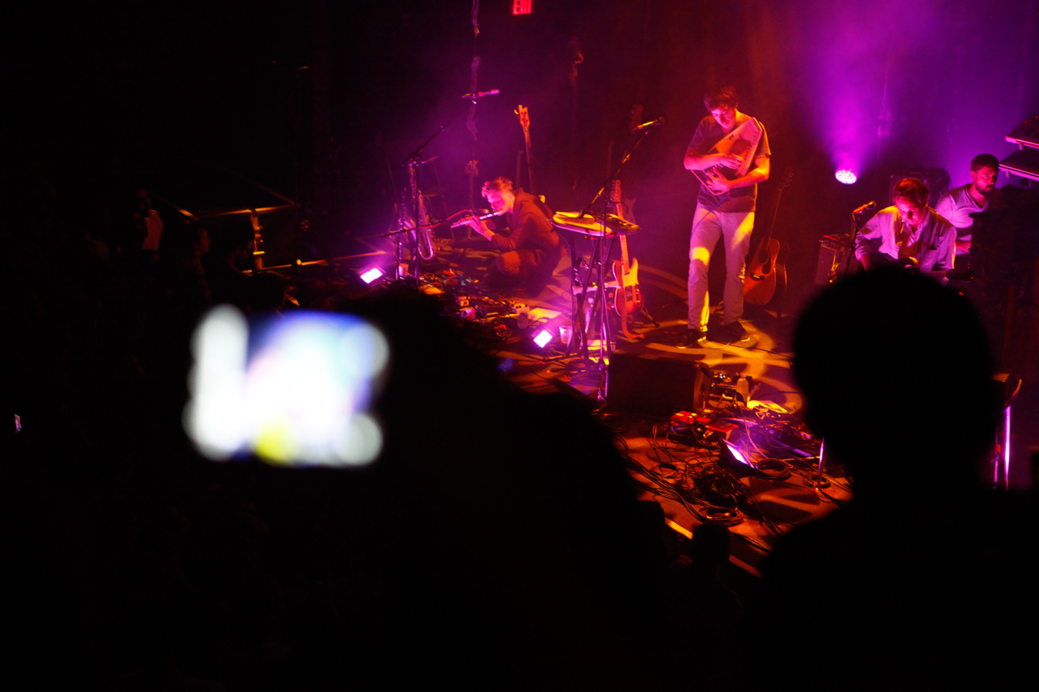 Grizzly Bear Band Live