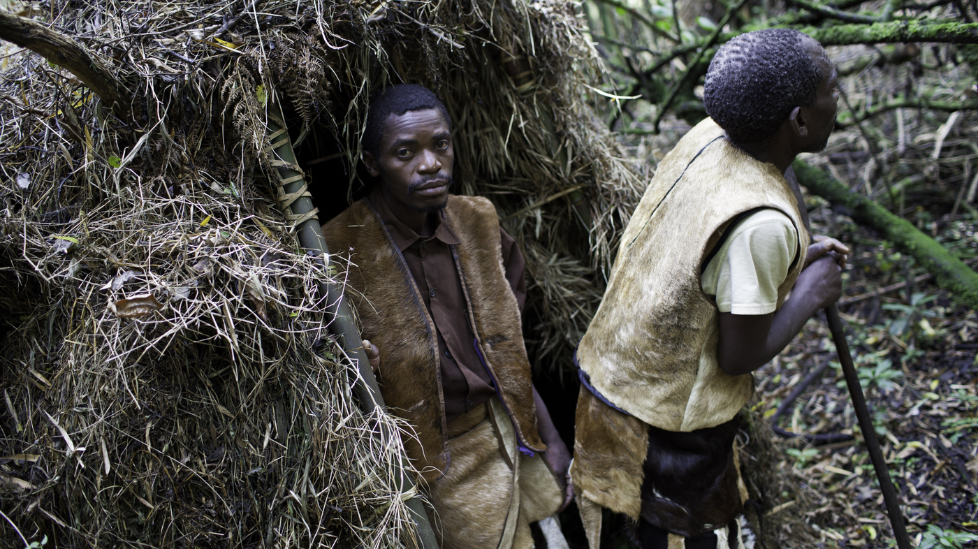 Forest People Return To Their Land ... As Tour Guides : NPR