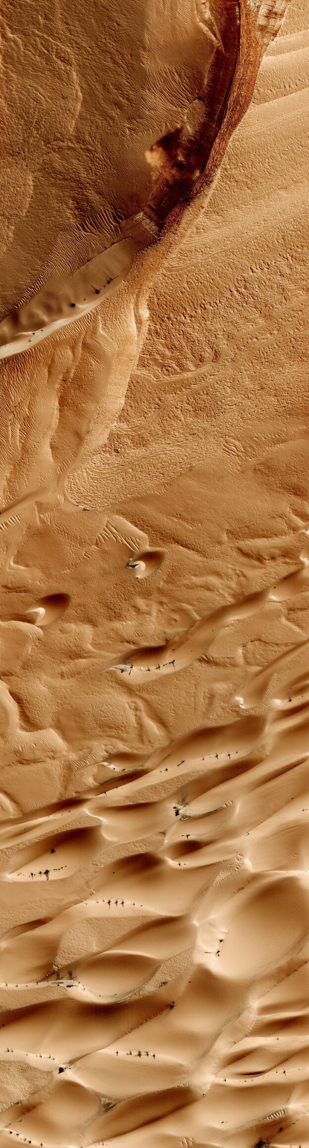 Dark Sand Cascades on Mars (those are not trees) : r/space
