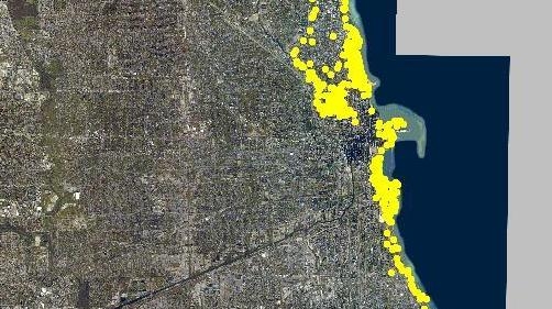 Coyotes In The City: Could Urban Bears Be Next? : The Two-Way : NPR