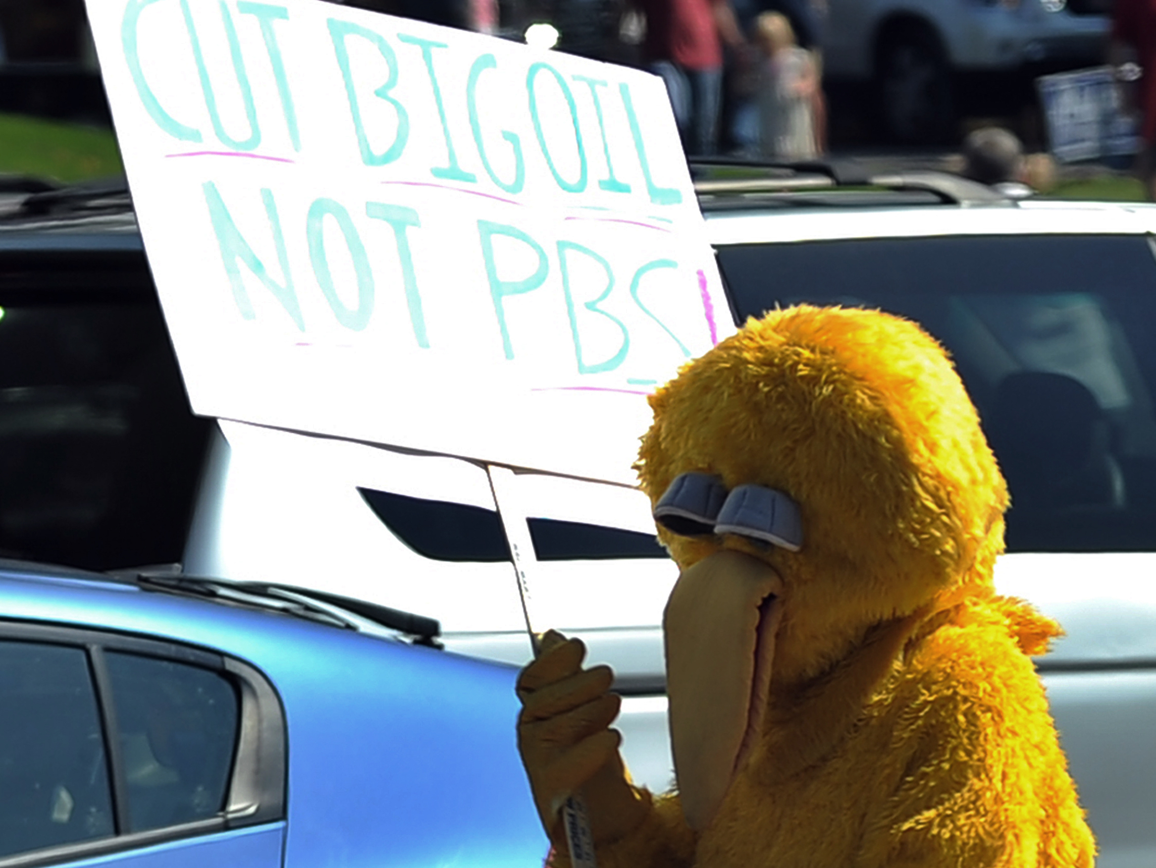 Big Bird Makes A Campaign Appearance | NCPR News