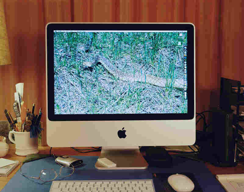 I Screen, You Screen, We All Screen: What Does Your Desktop Say About ...