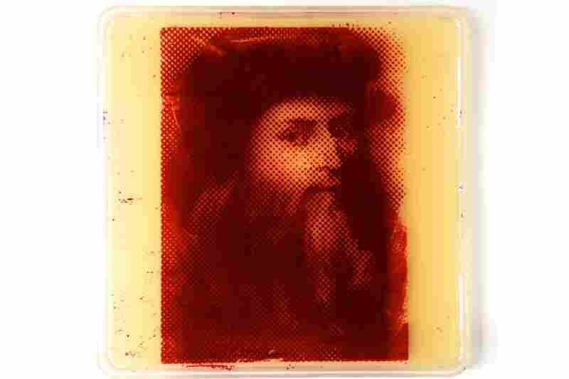 Beautiful Bacteria: How To Make Art From E. Coli : The Picture Show : NPR