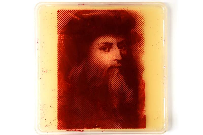 Beautiful Bacteria: How To Make Art From E. Coli : The Picture Show : NPR