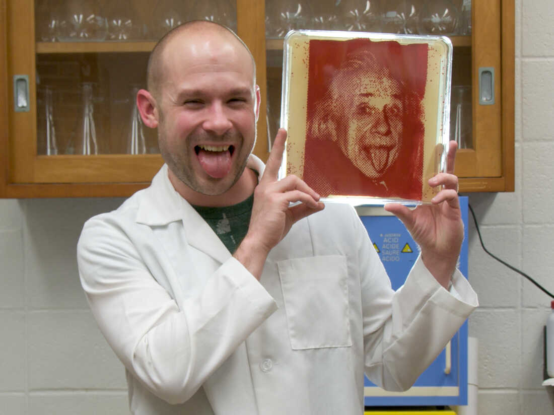 Beautiful Bacteria: How To Make Art From E. Coli : The Picture Show : NPR