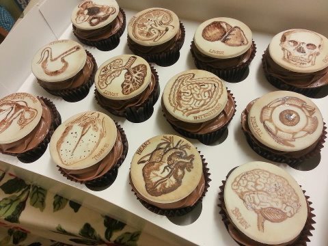 Museum Teaches Anatomy And Disease With Ghoulish Body Part Bake-Off ...