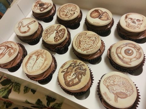 Museum Teaches Anatomy And Disease With Ghoulish Body Part Bake-Off ...