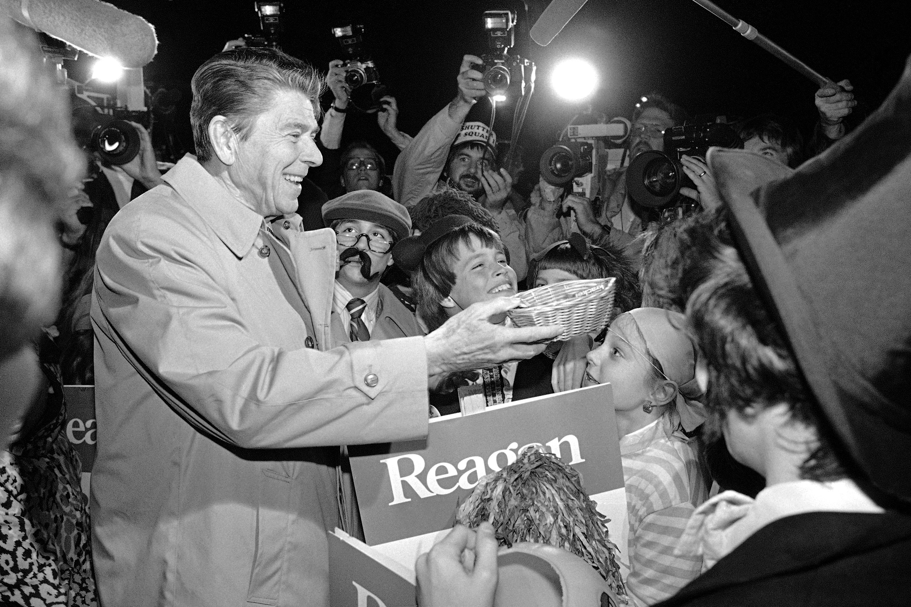 If Dick Cheney's Dogs Can Dress Up, So Can You | NCPR News