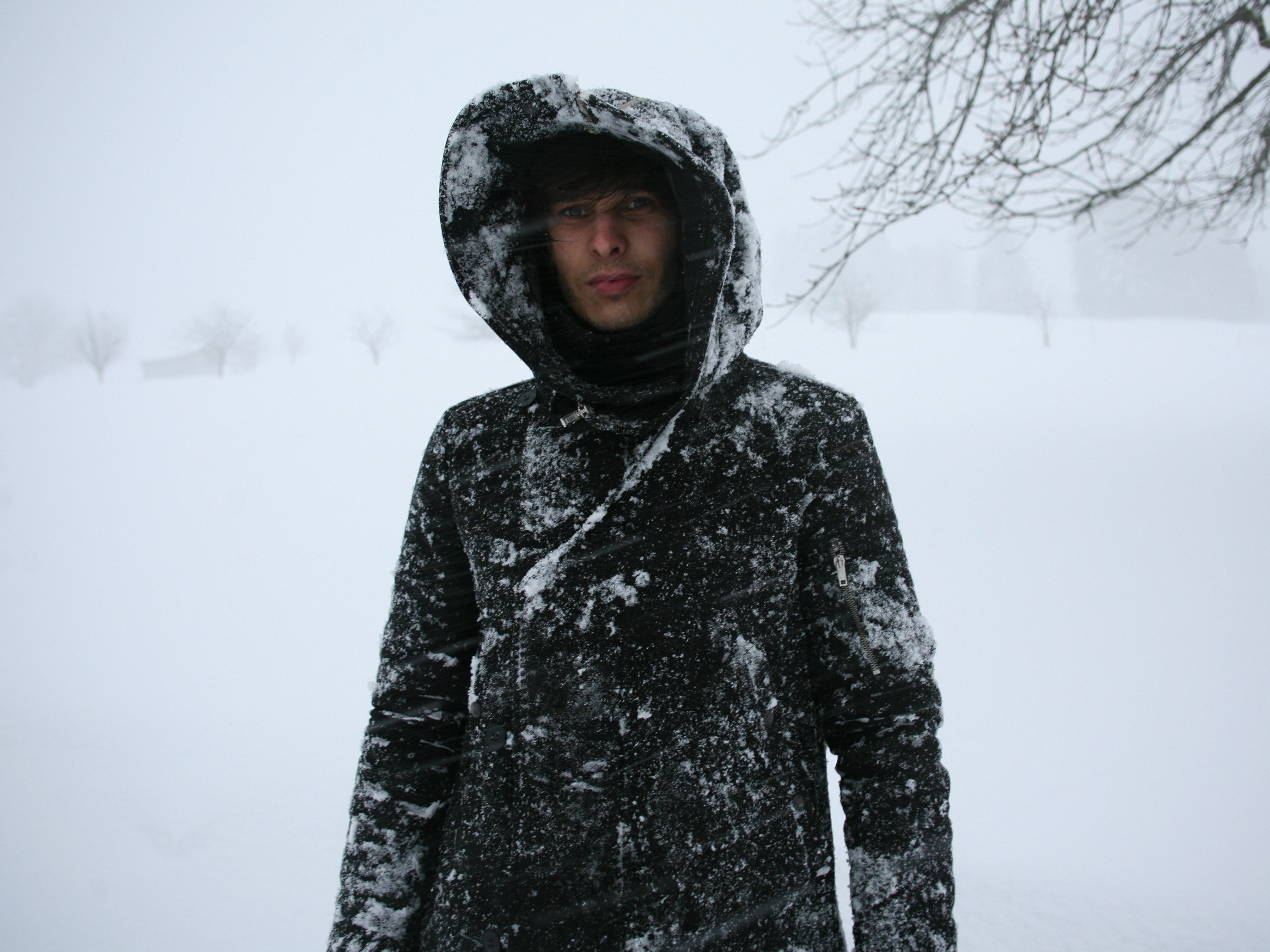 Andrew Bird, Ty Segall, Pantha Du Prince, Casket Girls And More | WBUR