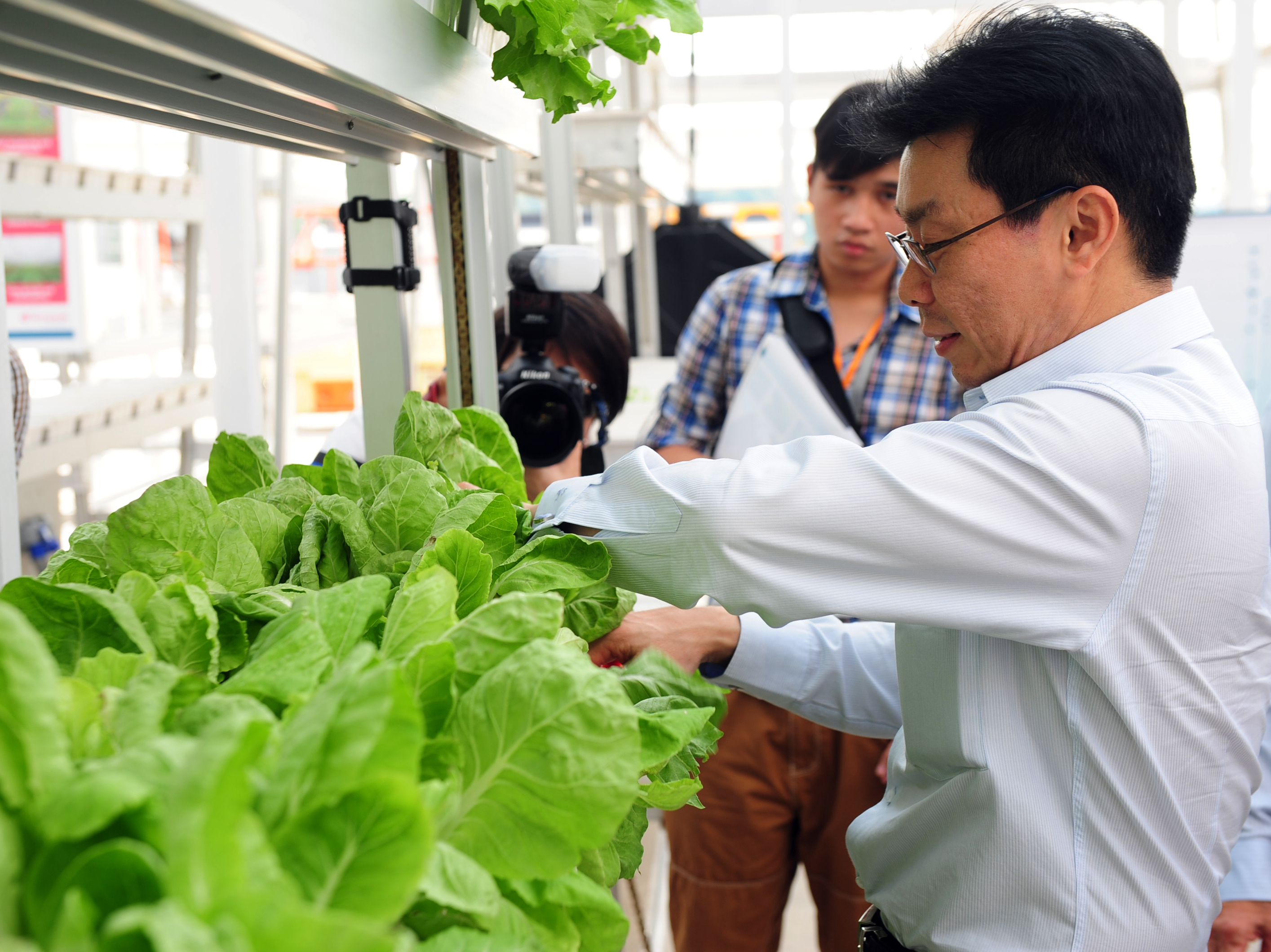Sky-High Vegetables: Vertical Farming Sprouts In Singapore | NCPR News