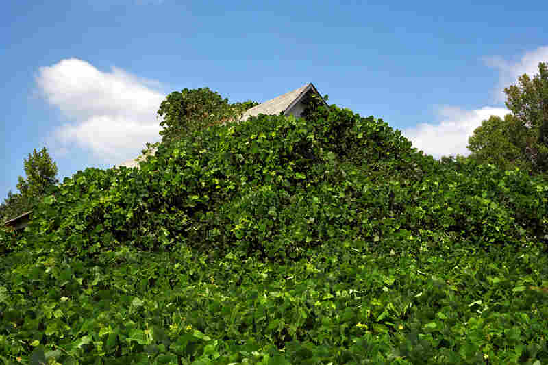 What's The Landscape Of Modern Landscape Photography? : The Picture ...