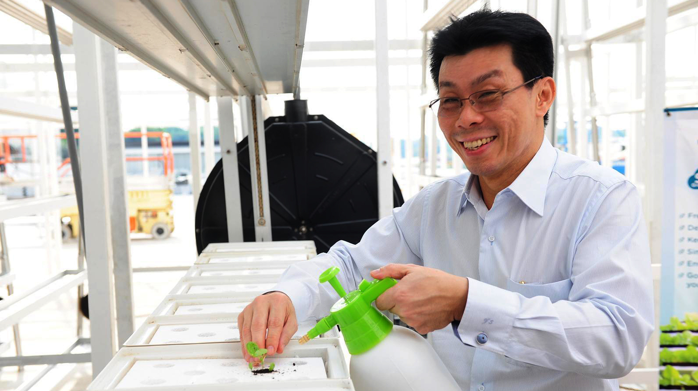 Sky-High Vegetables: Vertical Farming Sprouts In Singapore : The Salt : NPR