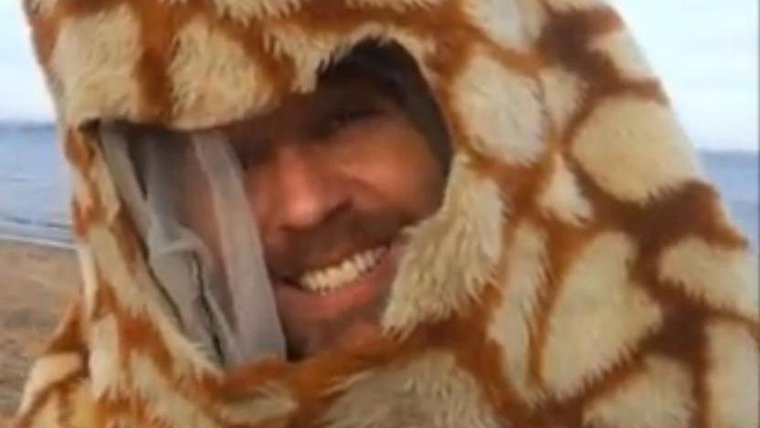 Good Giraffe : The Two-Way : NPR