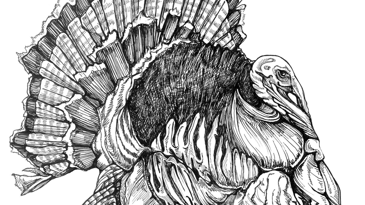 Interview: Sam Sifton, Author Of 'Thanksgiving: How To Cook It Well' : NPR