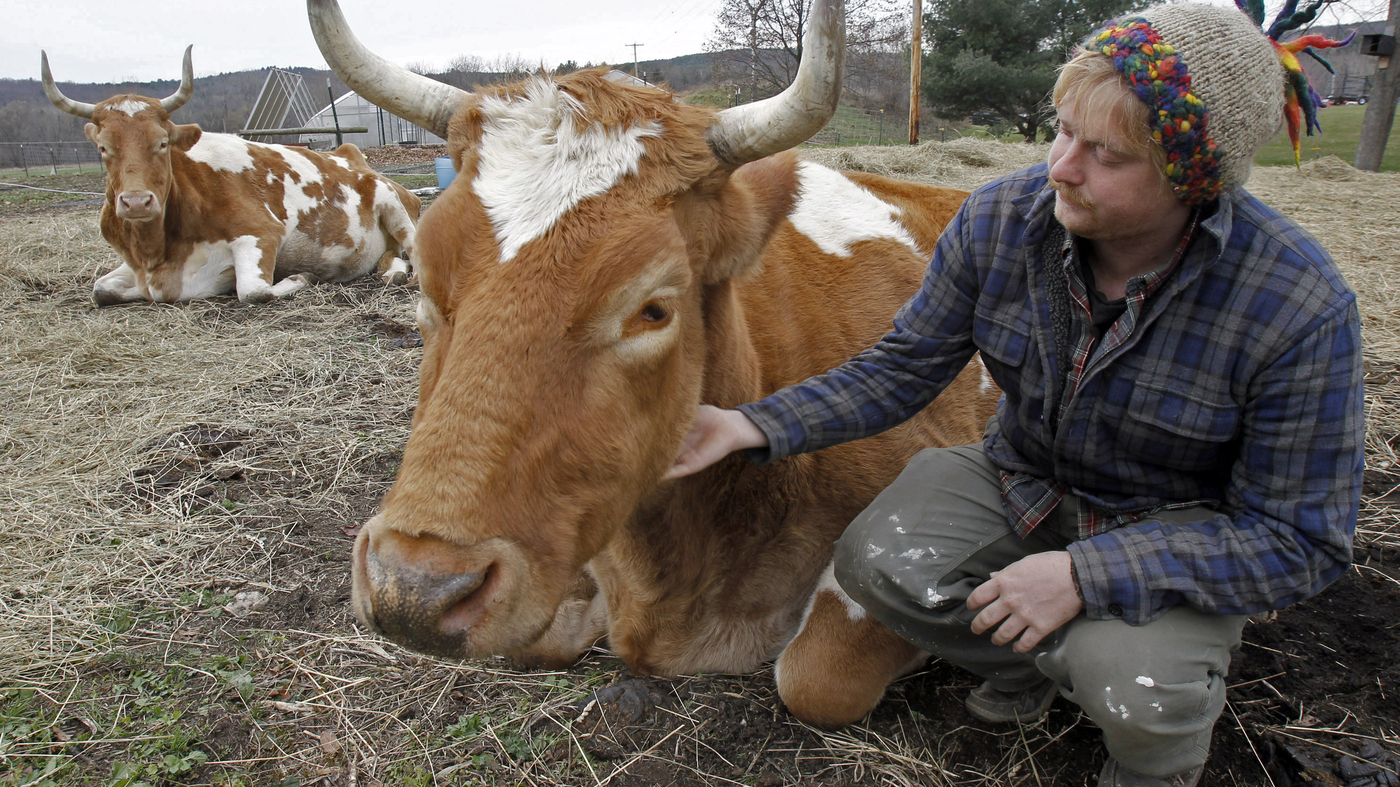 The Story Of Bill And Lou: A Life And Death Animal Rights Controversy ...