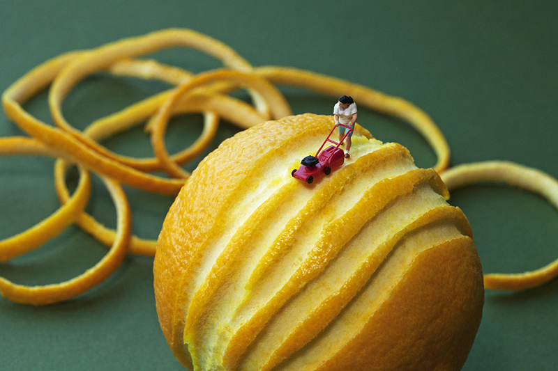A Photographer's Mini Food Fascination : The Picture Show : NPR