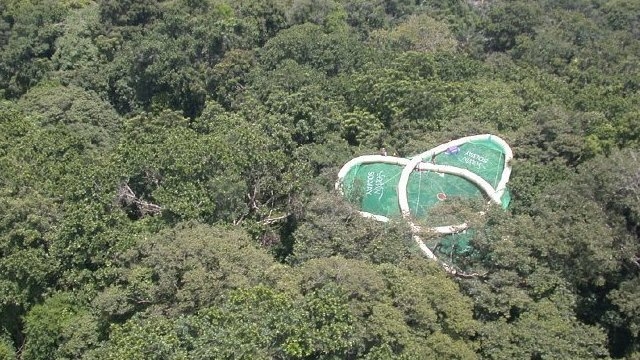 Counting Bugs In Panama? Get Out Your Tree Raft : NPR