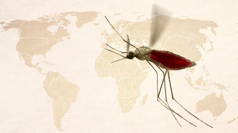 Malaria Pushing Back : NPR