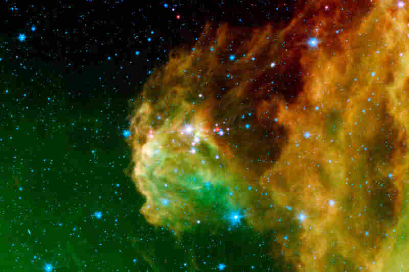 Young Stars In Formation : The Picture Show : NPR