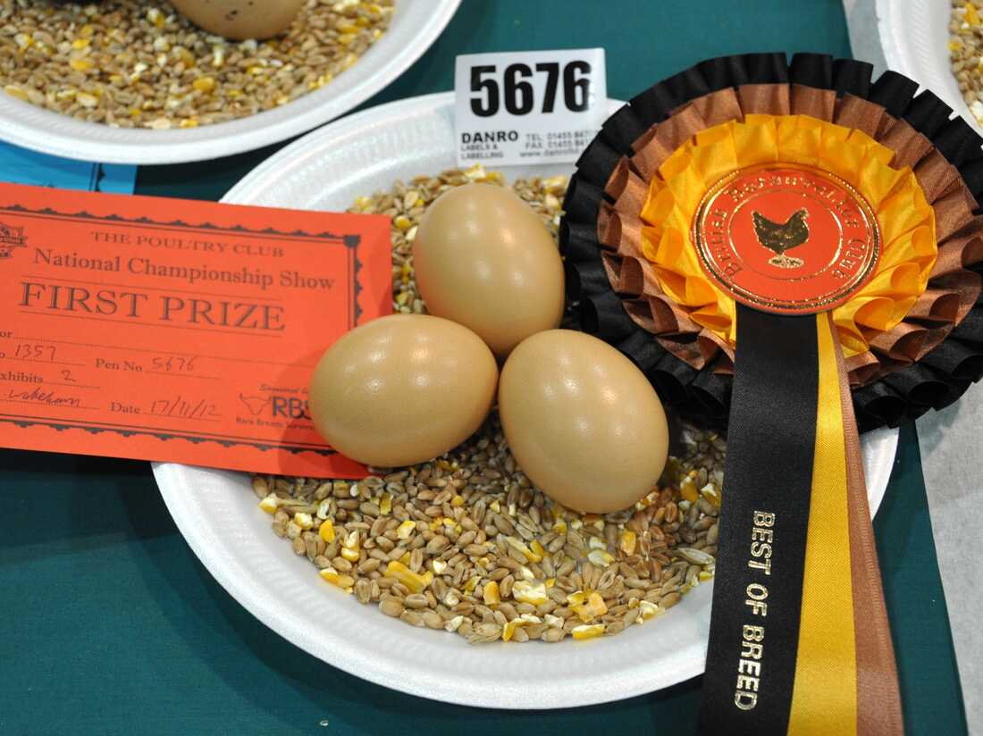 In Search Of The Perfect Egg : The Salt : NPR