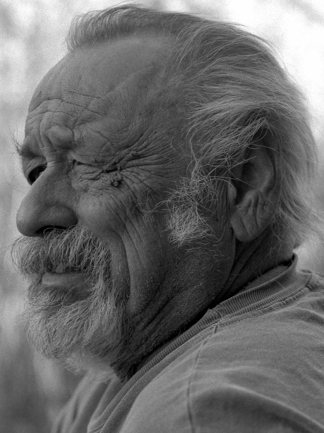 Book Review: 'The River Swimmer' by Jim Harrison : NPR