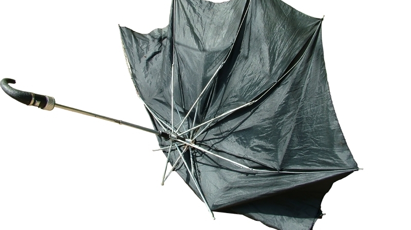 Book Review: 'Umbrella,' By Will Self : NPR