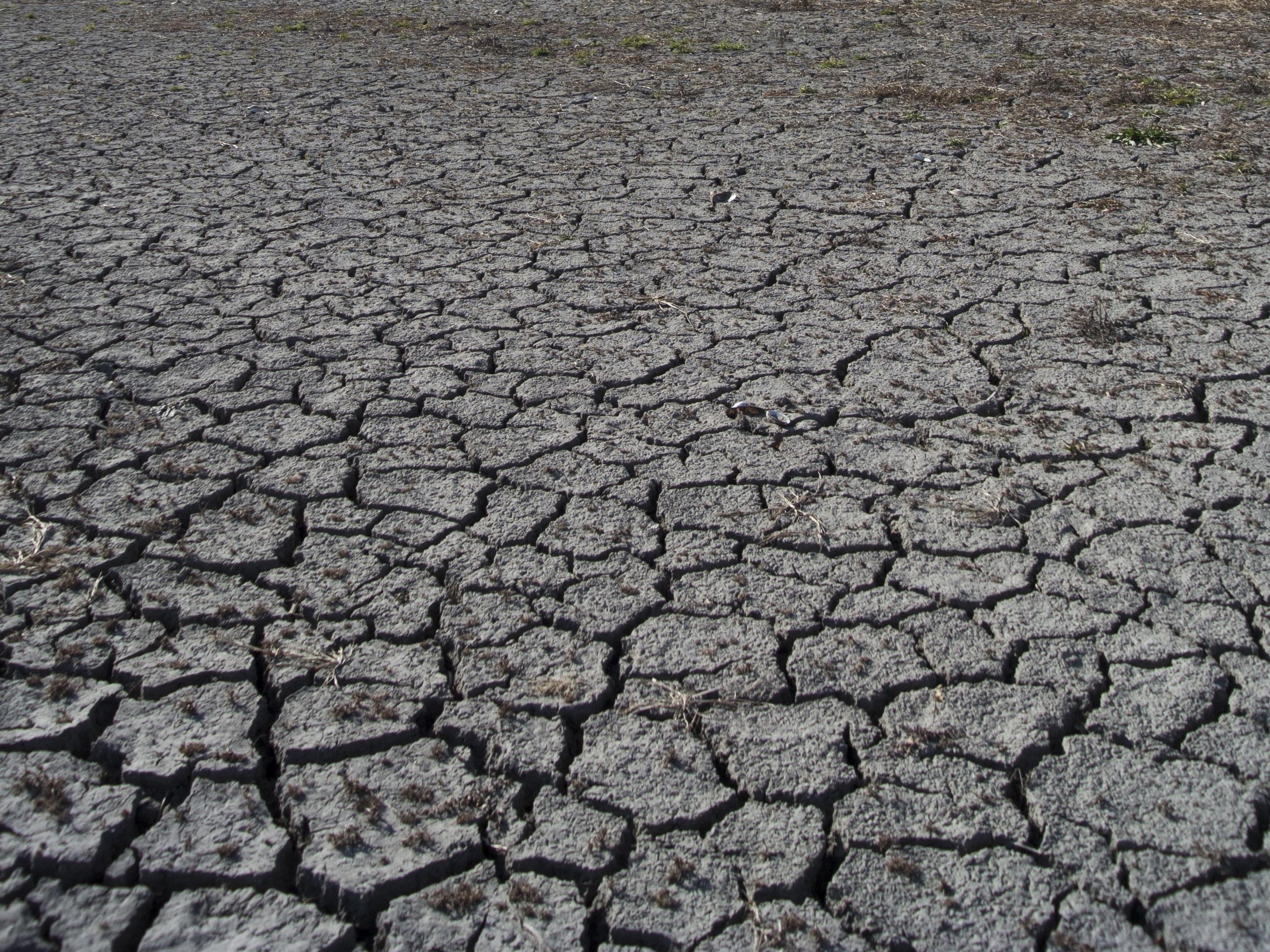 An Abundance Of Extreme Weather Has Many On Edge | NCPR News