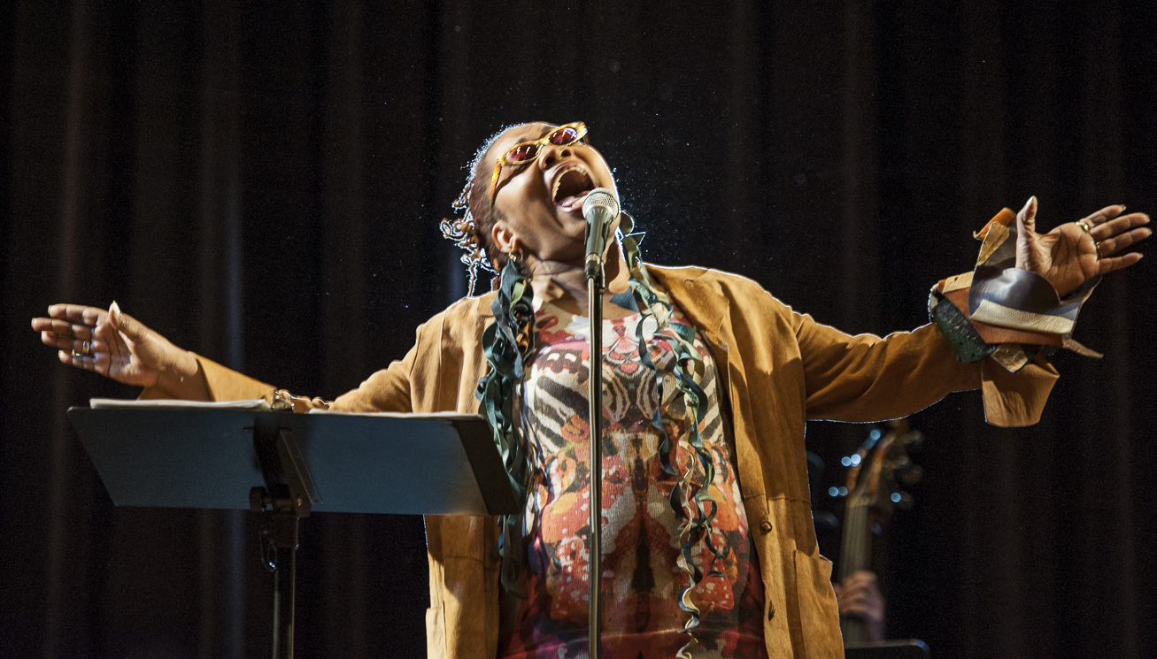 Dee Alexander's Funkin' With Electric Soul: Live In Chicago | NCPR News