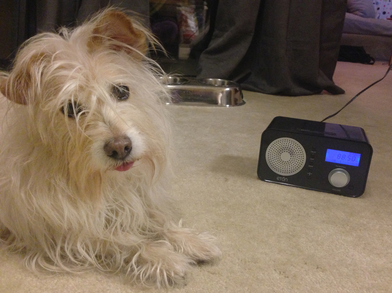 National Pet Radio: Make Your Critter's Cuteness Public (And Win A ...