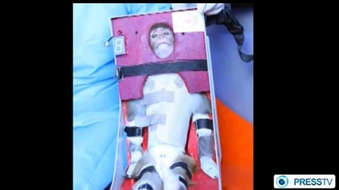 Iran Claims 'Major Achievement;' Says Monkey Was Sent Into Space : The ...