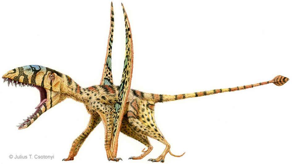 Dinosaurs With Attitude : Krulwich Wonders... : NPR