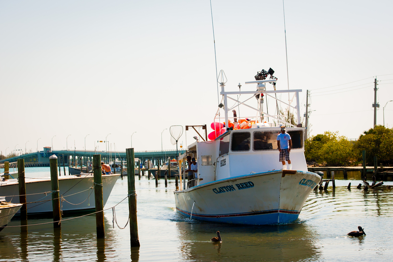 For A Florida Fishery, 'Sustainable' Success After Complex Process : NPR