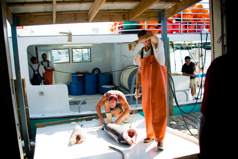 For A Florida Fishery, 'Sustainable' Success After Complex Process : NPR