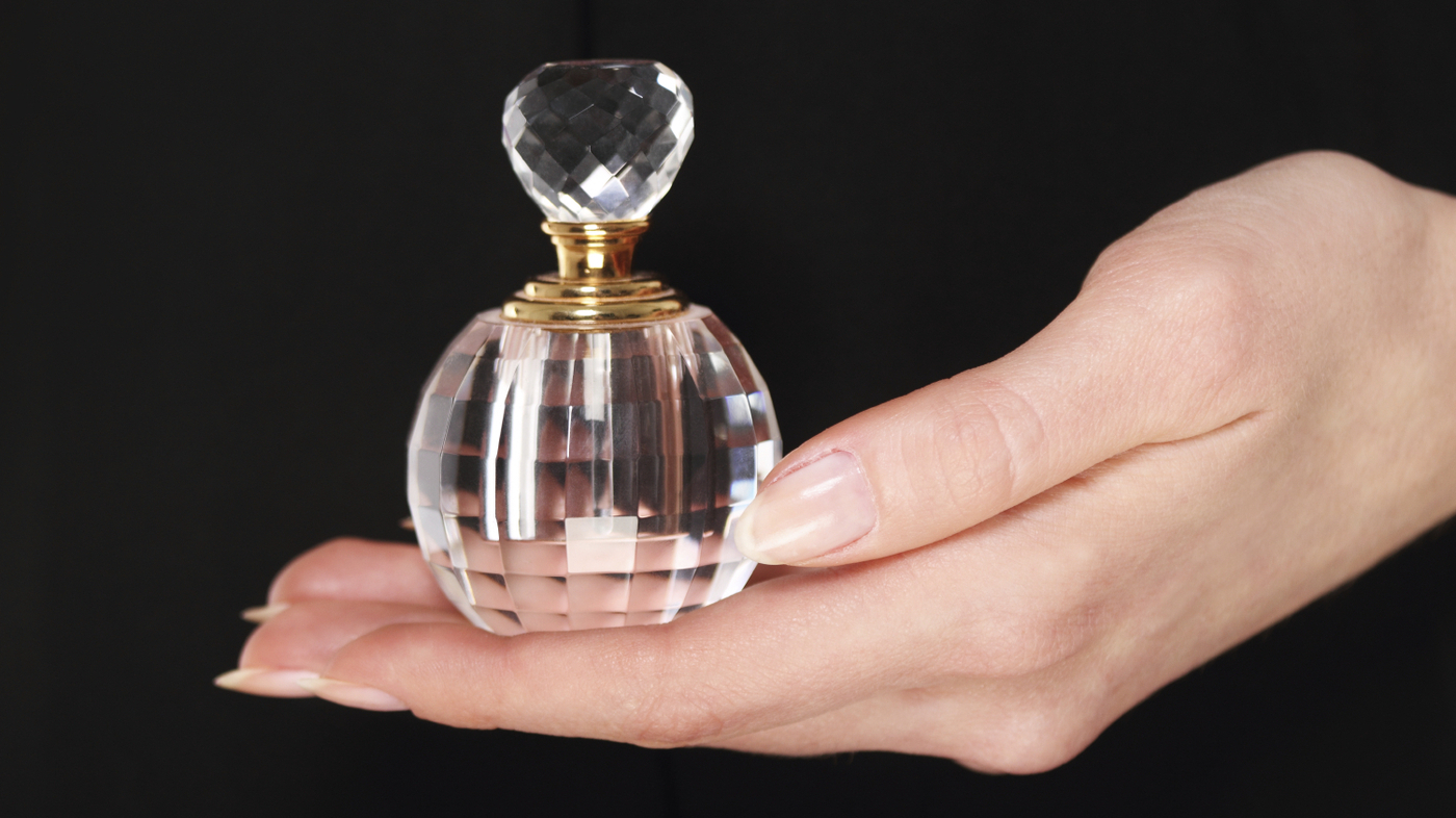 Book Review: Mary Bly On 'Scent Of Darkness' By Margot Berwin : NPR