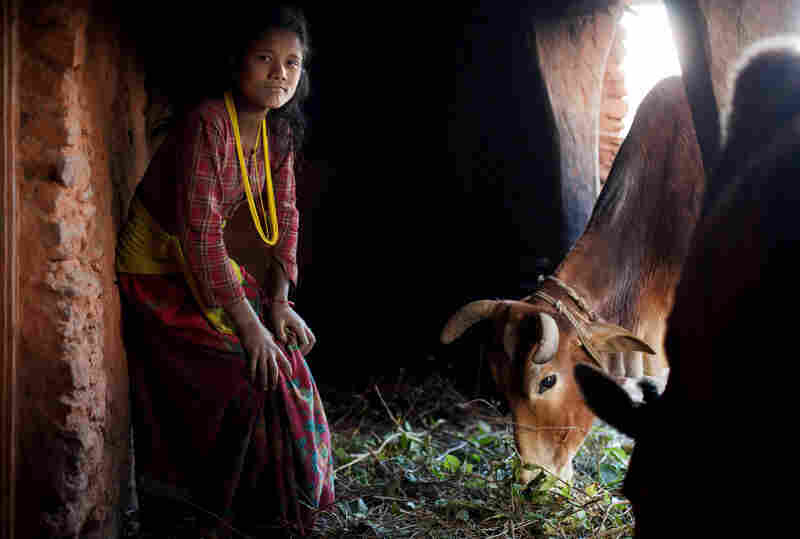 In Hindu Ritual, Nepali Women Are Banished Once A Month : The Picture ...