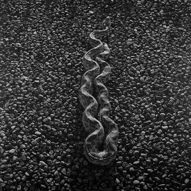 Documenting West Texas And Big Bend National Park : The Picture Show : NPR